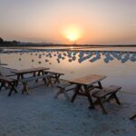 Marsala: Guided tour of the Genna Salt Pans - What You Can Expect During the Tour