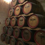 Marsala tour: Salt Road Tour Winery visit/tasting Boat Trip - What’s Included and What’s Not