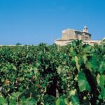 Marsala: Winery Tour with Wine Tasting and Local Products - The Tasting Experience