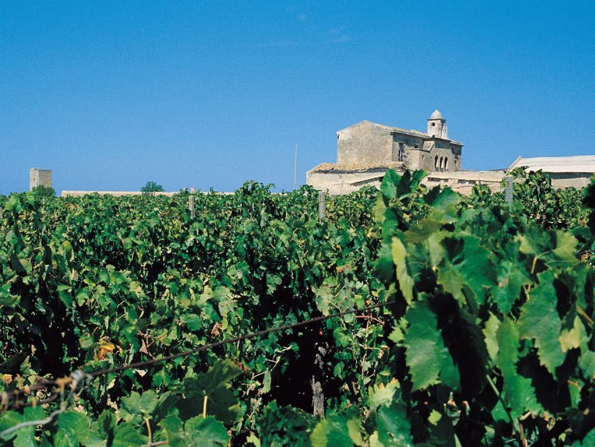 Marsala: Winery Tour with Wine Tasting and Local Products - The Tasting Experience