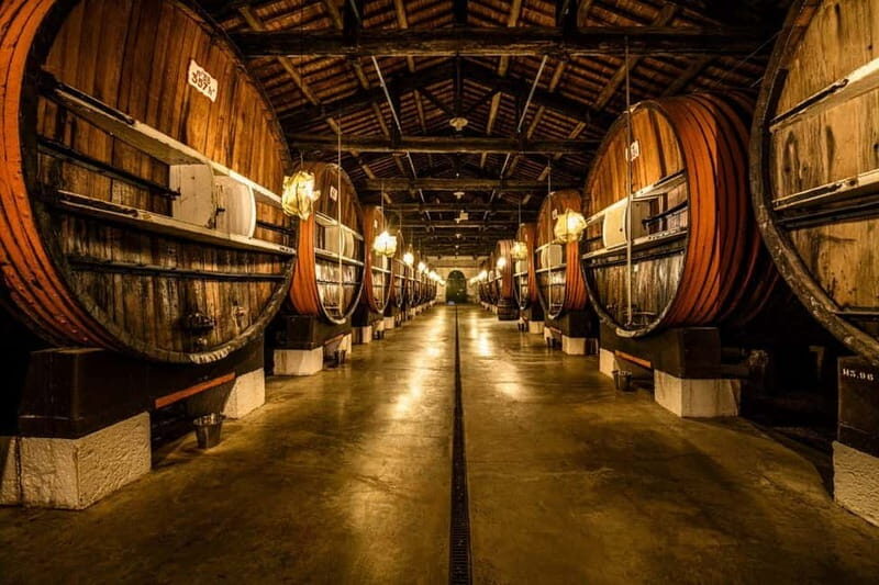 Marseillan: La Maison Noilly Prat Premium Tour - Who Will Love This Tour?