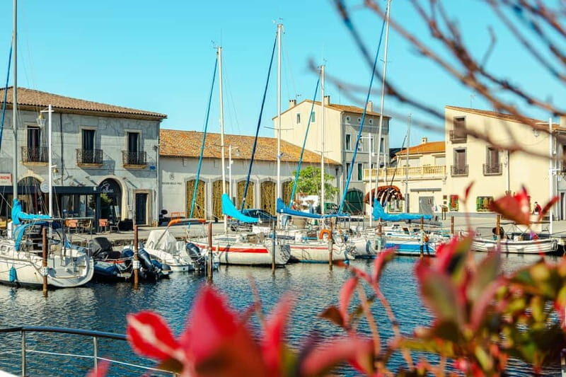 Marseillan: La Maison Noilly Prat Tour - Who Will Benefit Most from This Tour?