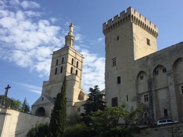 Marseille: Avignon and Côtes du Rhône Wine Tasting Tour - Who Should Consider This Tour?