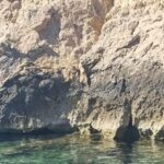 Marseille: Calanques National Park Eco-Friendly Cruise - What’s Included and What’s Not