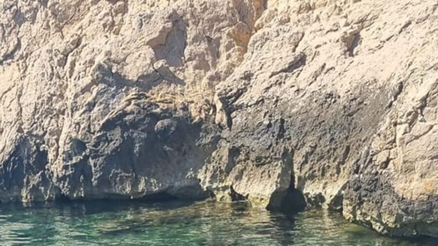 Marseille: Calanques National Park Eco-Friendly Cruise - What’s Included and What’s Not