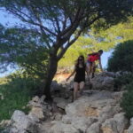 Marseille: Calanques National Park Guided Summit Hike - Detailed Breakdown of the Itinerary