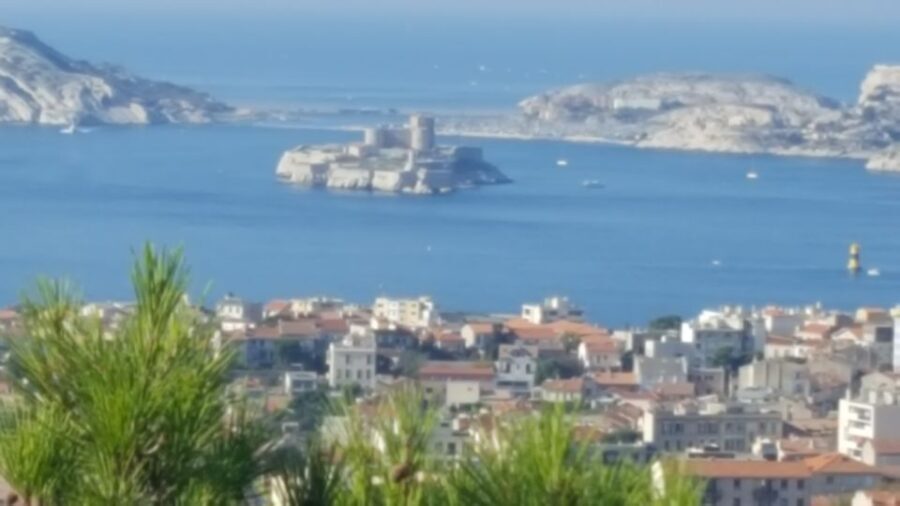 Marseille City Tour Half-Day - What You Can Expect from This Experience