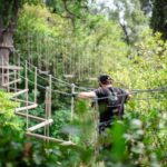 Marseille: Ecopark Adventures Treetop Adventure - The Park Layout and Course Options