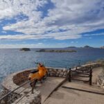 Marseille: Electric Motorcycle Rental with Smartphone Guide - The Itinerary: What You’ll See and Do