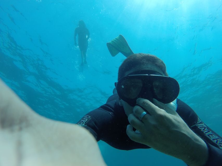 Marseille: Endoume Snorkeling Adventure with Snacks & Drinks - What the Price Gets You and Its Value