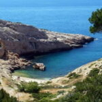 Marseille : Local Neighborhoods Guided Walking Tour - A Closer Look at the Itinerary and Highlights