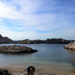 Marseille: Private City Center Walking Tour with Cruise - FAQ