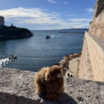 Marseille: Private Customised Walking 2-Hour Tour - A Closer Look at What You’ll See
