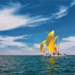 Marseille: Private Half-day Frioul Islands Sailing Trip - The Highlights and What Makes It Special