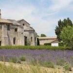 Marseille Shore Excursion: Private Day Trip to Arles, Les Baux de Provence and Saint Remy de Provence - Key Points