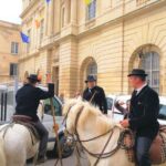 Marseille: The Camargue 8-Hour Guided Outing - Who Is This Tour Best Suited For?