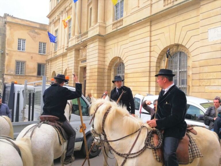 Marseille: The Camargue 8-Hour Guided Outing - Who Is This Tour Best Suited For?