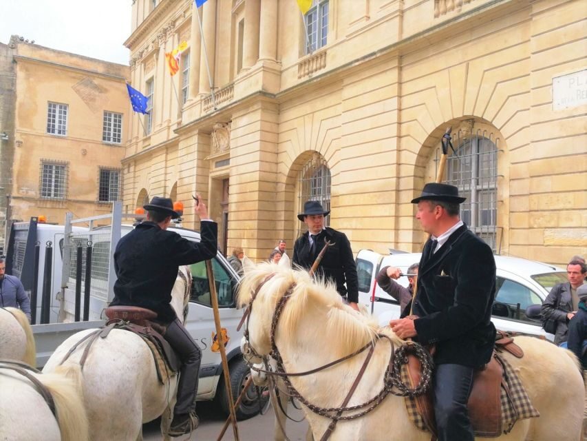 Marseille: The Camargue 8-Hour Guided Outing - Who Is This Tour Best Suited For?