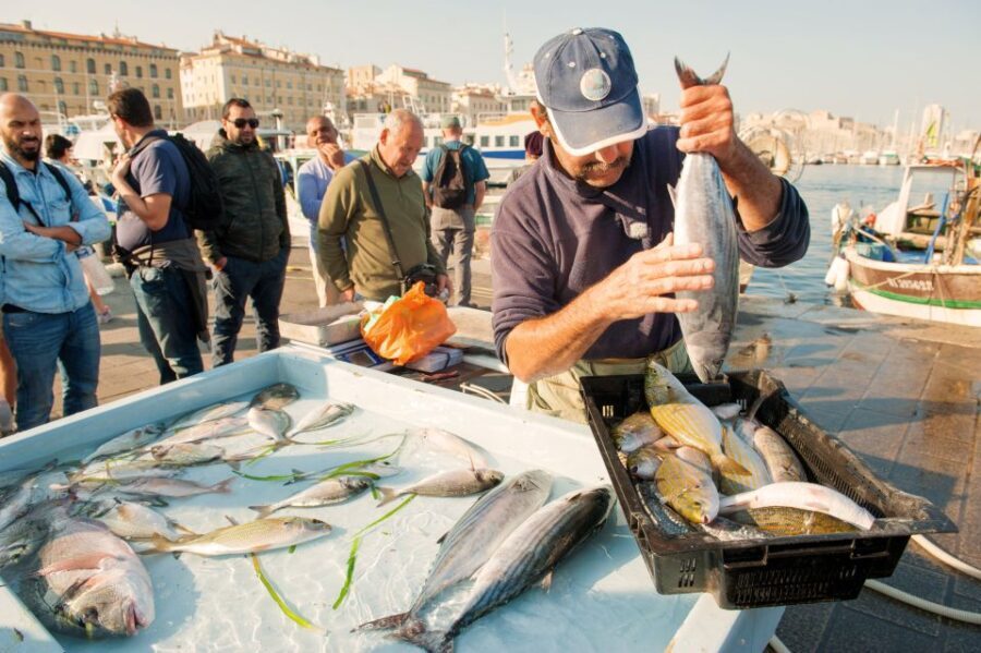 Marseille: Walking Food Tour with Tastings - Detailed Itinerary and What to Expect at Each Stop
