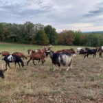 Martel: Guided tour with a guide - Who Should Consider This Tour?