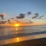 Martinique: Private Tour with Local Guide - Authentic Experiences and Valuable Insights