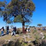 Marvão: Megalithic Monuments Private Tour with Hotel Pickup - The Historical and Cultural Significance