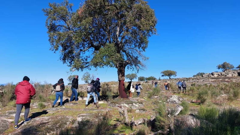 Marvão: Megalithic Monuments Private Tour with Hotel Pickup - The Historical and Cultural Significance