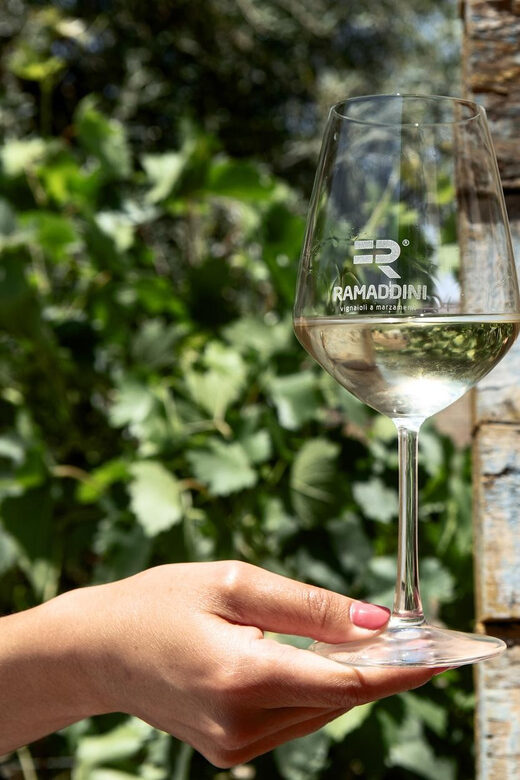 Marzamemi: Val di Noto Wine Tour, Wine Tasting & Aperitif - The Value of This Tour