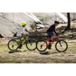 Maspalomas: 1 to 7-Day Mountain Bike Rental - Why This Tour Offers Real Value