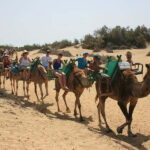 Maspalomas: 2-Seater E-Scooter Dunes Tour with Camel - A Closer Look at the Maspalomas E-Scooter Tour