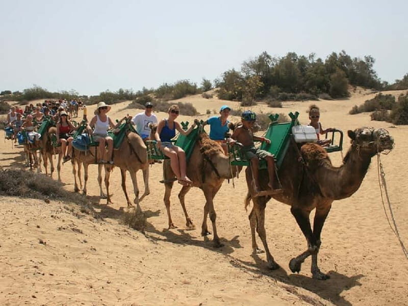 Maspalomas: 2-Seater E-Scooter Dunes Tour with Camel - A Closer Look at the Maspalomas E-Scooter Tour