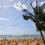 Maspalomas and Mogan: beaches tour - The Value of the Guided Tour