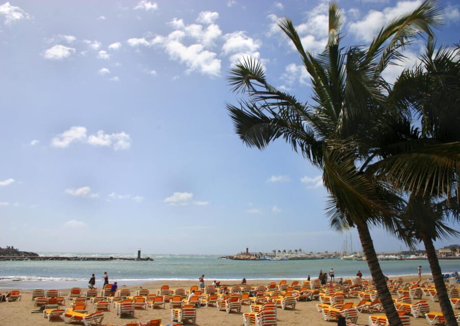 Maspalomas and Mogan: beaches tour - The Value of the Guided Tour