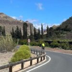 Maspalomas: Ayagaures E-Bike Mountain Tour Optional Tapas - A Closer Look at the Maspalomas: Ayagaures E-Bike Mountain Tour