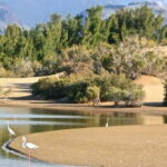 Maspalomas: E-Bike Sightseeing Sunset Tour or Morning Tour - The Sum Up