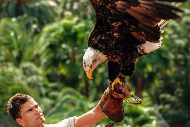 Maspalomas: Palmitos Park Ticket with Dolphin and Bird Shows - FAQ