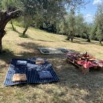 Matera: Pic-Nic under the Centuries-Old Olive Trees - Why This Tour Offers Great Value