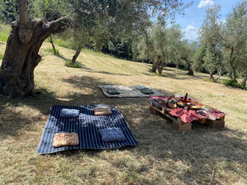 Matera: Pic-Nic under the Centuries-Old Olive Trees - Why This Tour Offers Great Value