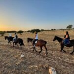 Matera: sunset horseback riding tour on Murgia - Key Points