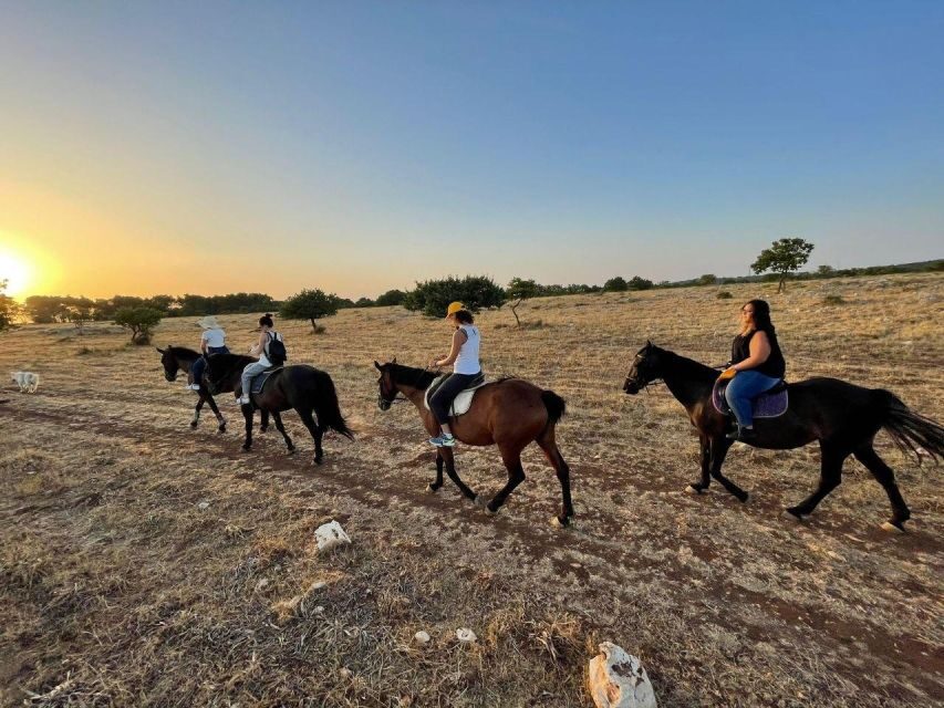 Matera: sunset horseback riding tour on Murgia - Key Points