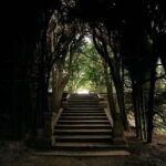 Mateus Palace - In the Footsteps of Wine History - Practical Details and Value