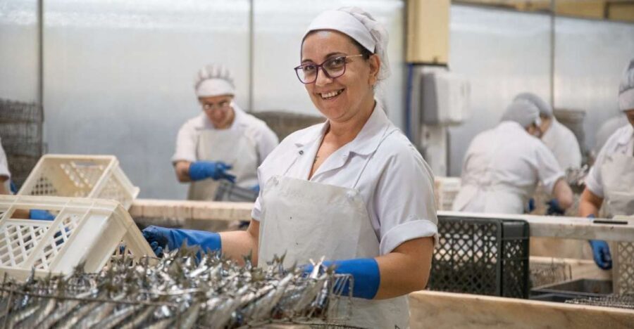 Matosinhos: Conservas Pinhais Factory Tour - Why This Tour Works for Travelers