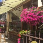 Mayfair and Belgravia Private Walking Tour - Deep Dive Into the Itinerary