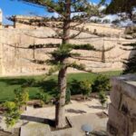 Mdina and Rabat: Guided City Walking Tour - Exploring Rabat: Malta’s Historical Suburb