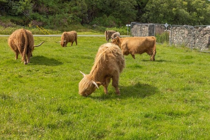 Meandering Through The Highlands of Scotland (West) - Key Points