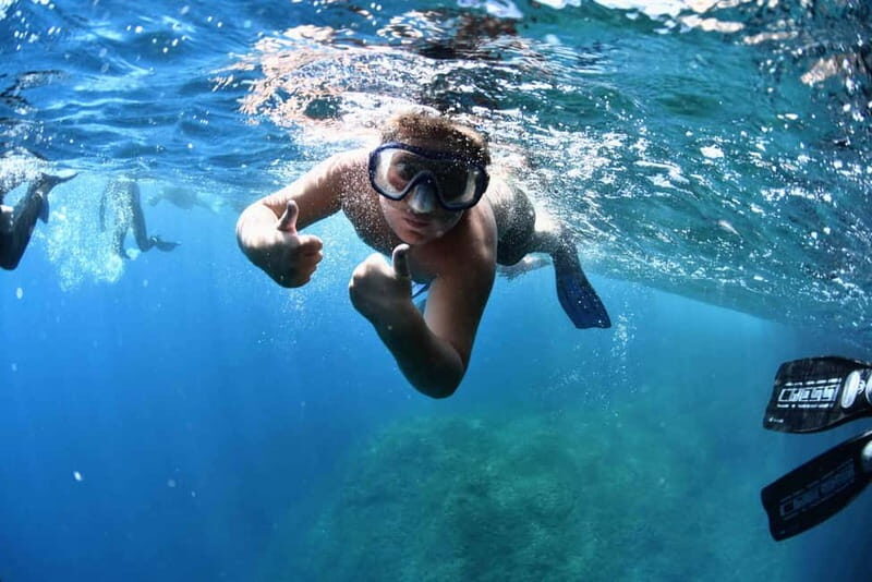 Medes Islands: Snorkeling at the beautiful Nature Park - Why Choose This Snorkeling Experience?
