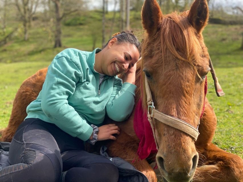 Meditate With Horses - The Practical Details