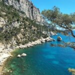 Mediterranean Dream : Cassis, Calanques Boat Ride & Appetizer - Price, Value, and Practical Tips