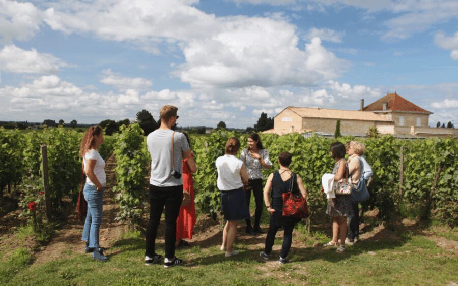 Médoc Morning Wine Tour - Winery & Tastings - Key Points