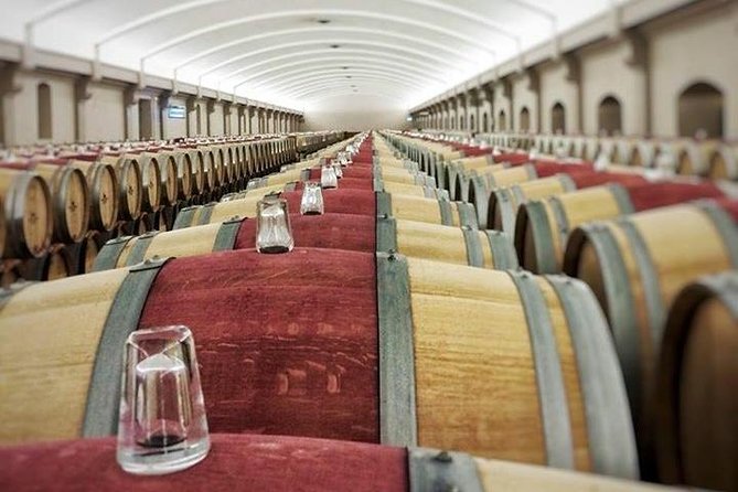 Medoc Region Private Sightseeing & Wine Day Trip with Tasting from Bordeaux - An Inside Look at the Médoc Private Wine Tour